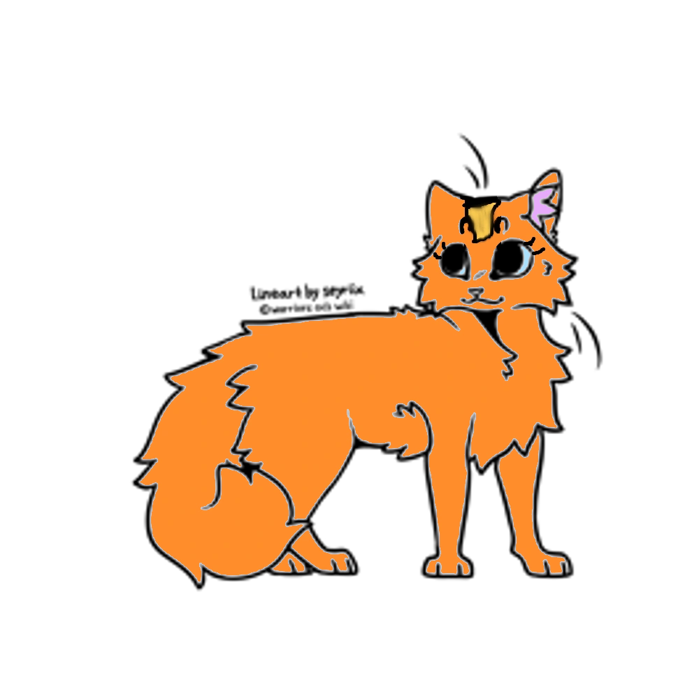 Fishtail | Warriors OC's Wiki | Fandom