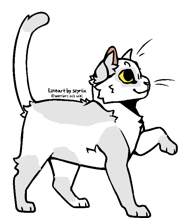 Pouncekit (SC) | Warriors OC's Wiki | Fandom