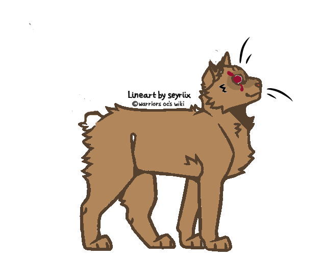 Ferretdash | Warriors OC's Wiki | Fandom