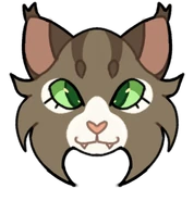 Petalkit (TLbtS) | Warriors OC's Wiki | Fandom