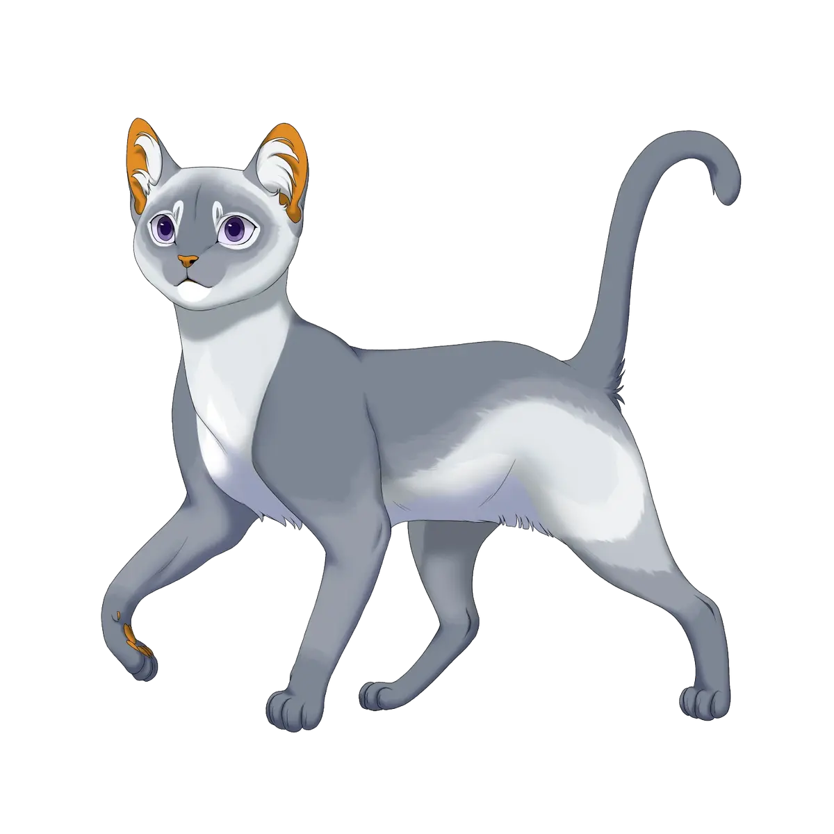 Moonpaw (BM) | Warriors OC's Wiki | Fandom