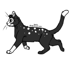 Dappledpaw | Warriors OC's Wiki | Fandom