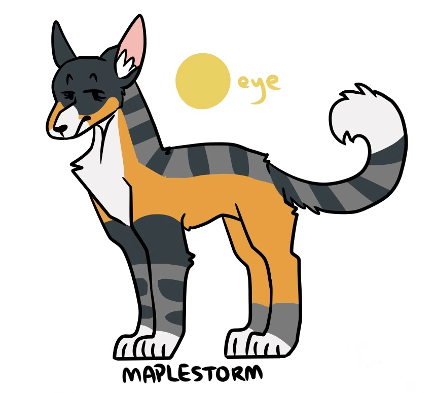 Maplestorm (TDS) | Warriors OC's Wiki | Fandom