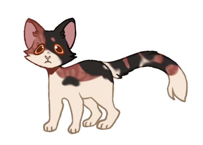 Category:Discord characters | Warriors OC's Wiki | Fandom