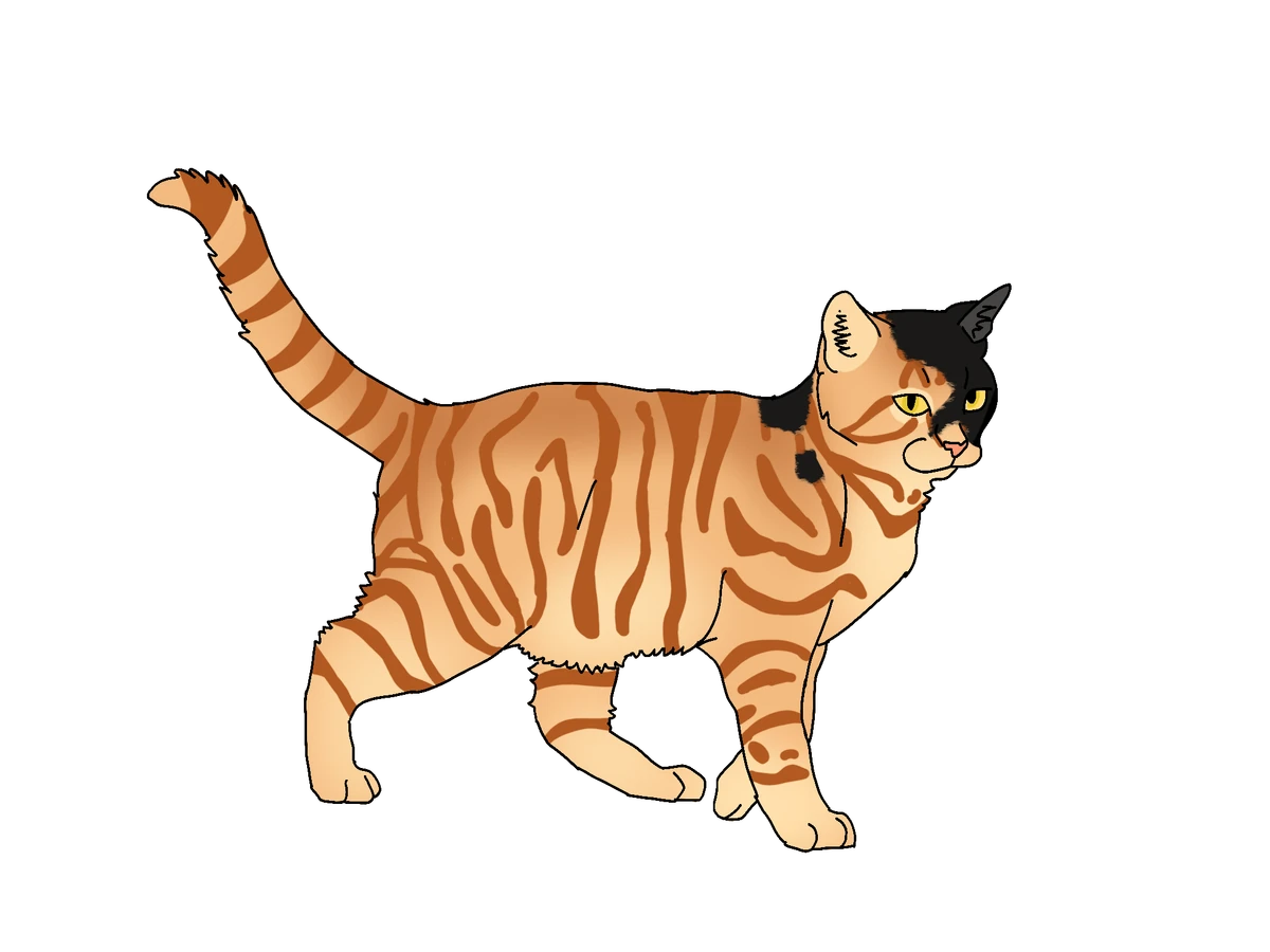 Shadowwatcher | Warriors OC's Wiki | Fandom