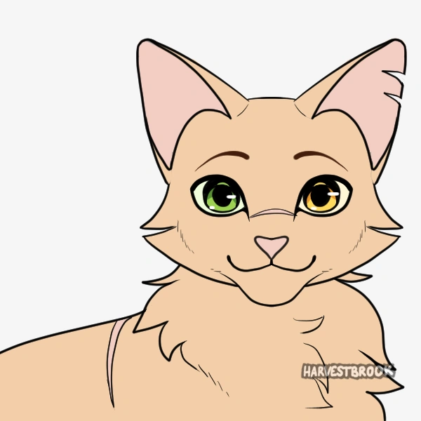 Lightstar (SC) | Warriors OC's Wiki | Fandom