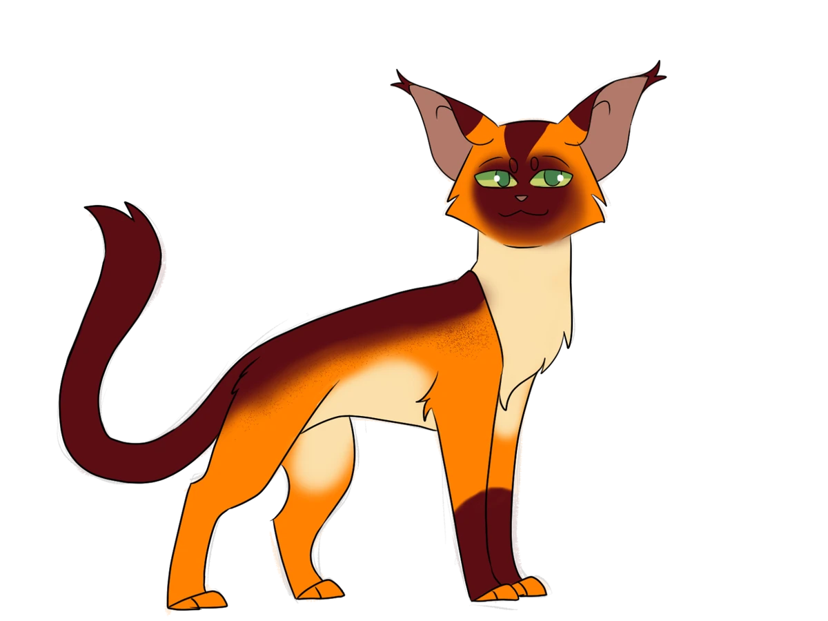 Emberflame | Warriors OC's Wiki | Fandom