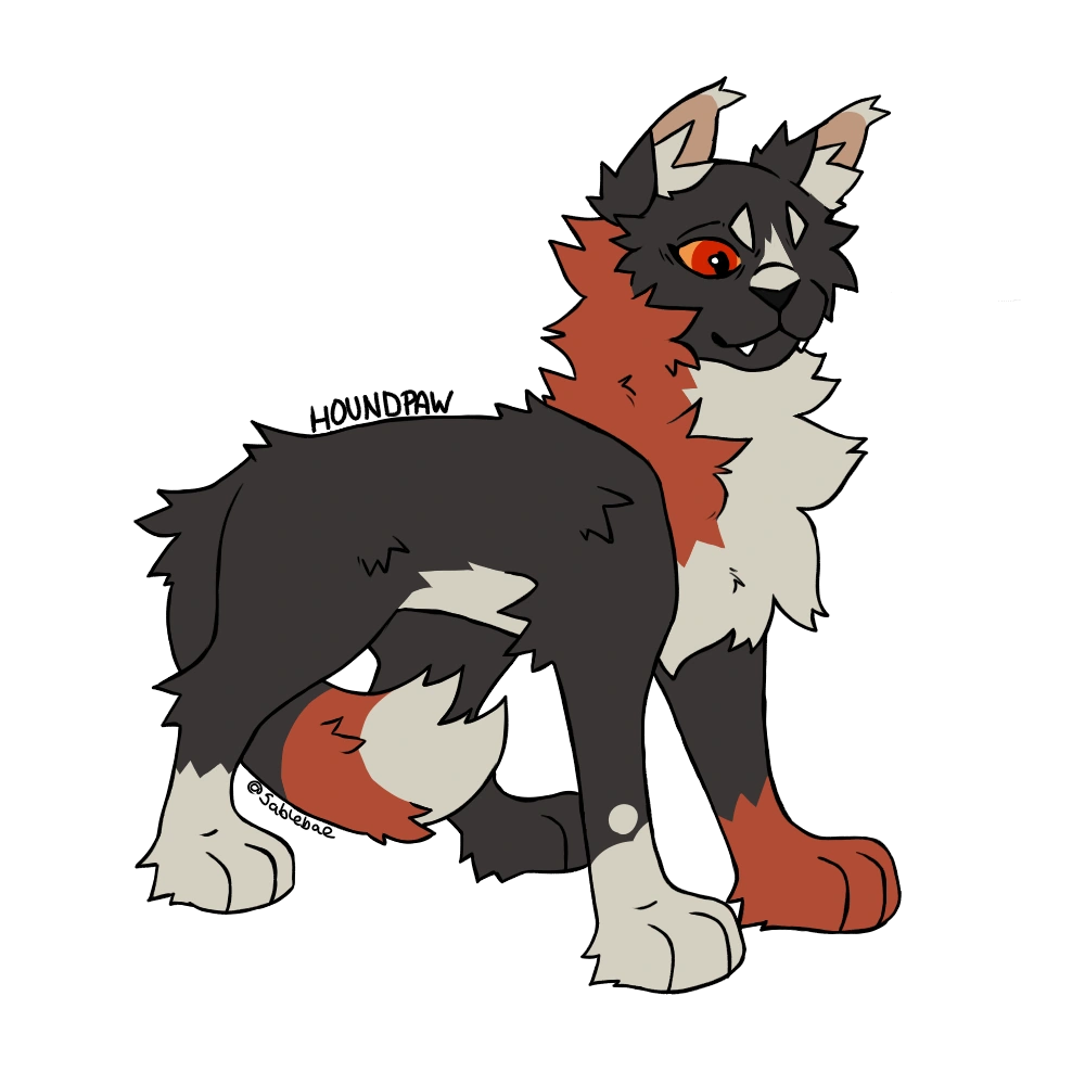 Houndpaw | Warriors OC's Wiki | Fandom