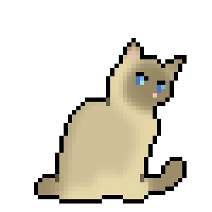 Wind | Warriors OC's Wiki | Fandom