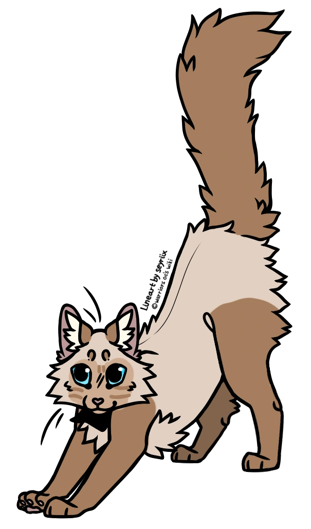 Yarrow (SCT) | Warriors OC's Wiki | Fandom