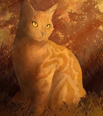Sunstar (SP) | Warriors OC's Wiki | Fandom
