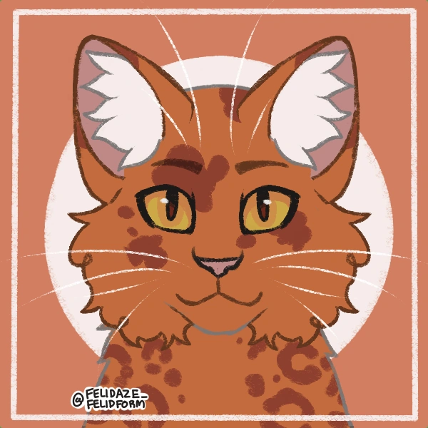 Koishade (FS) | Warriors OC's Wiki | Fandom