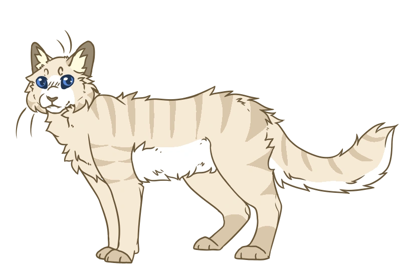 Feather | Warriors OC's Wiki | Fandom