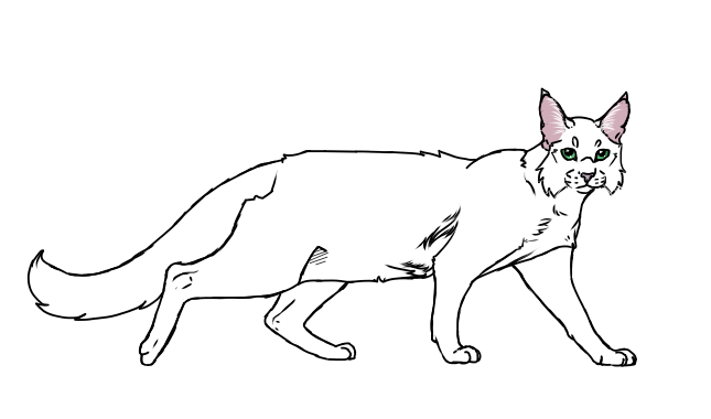 Cloud | Warriors OC's Wiki | Fandom