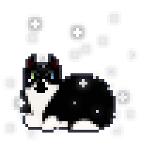 Oddstar | Warriors OC's Wiki | Fandom