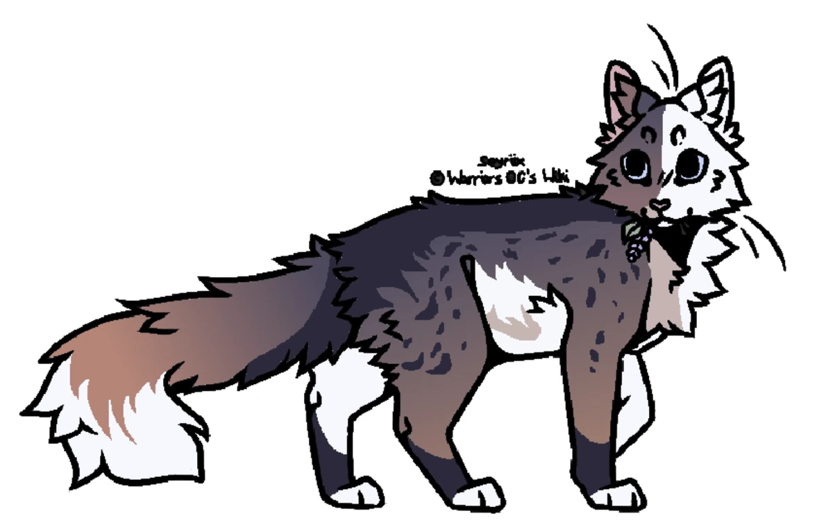 Eveningumbra (OC) | Warriors OC's Wiki | Fandom