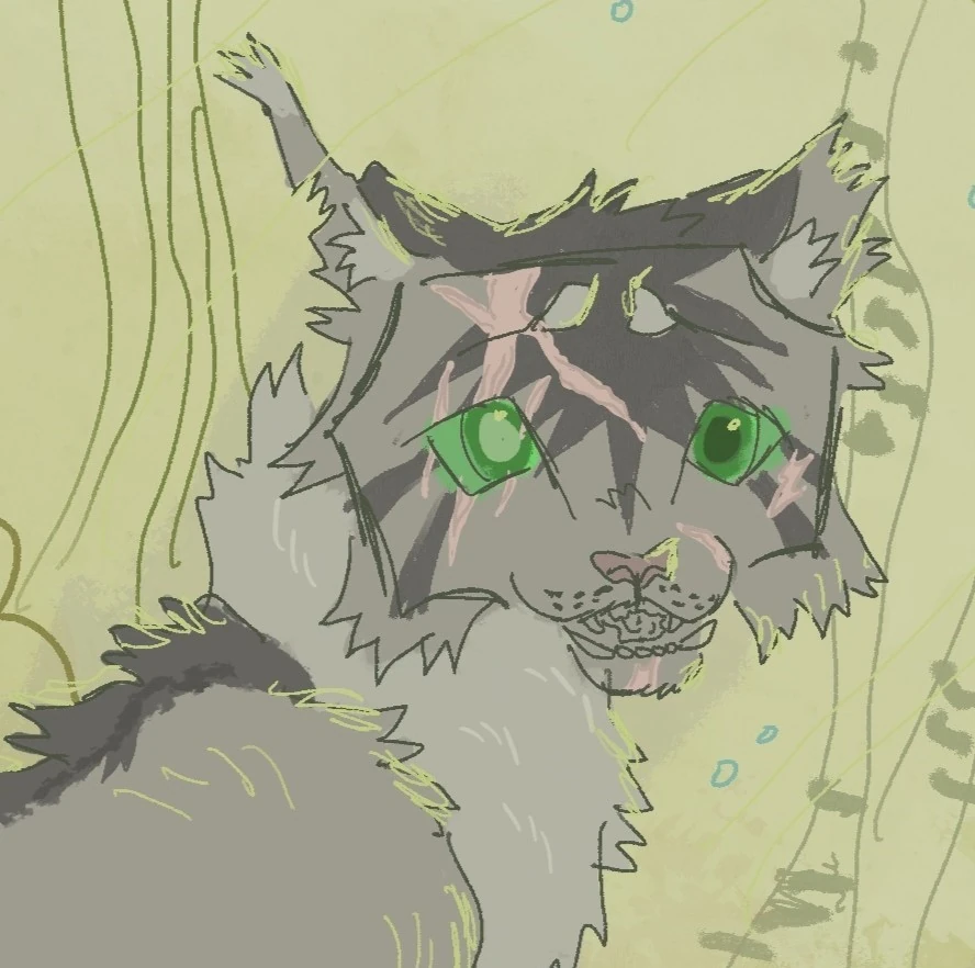 Lostlook | Warriors OC's Wiki | Fandom