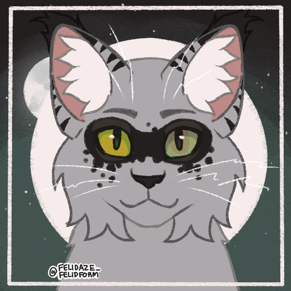 Raccoontuft (FS) | Warriors OC's Wiki | Fandom