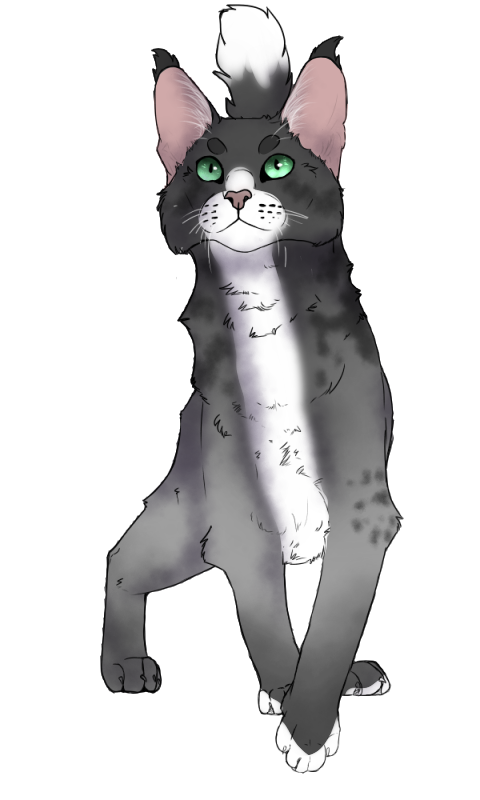 Thistlebush (FS) | Warriors OC's Wiki | Fandom