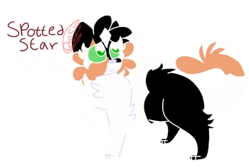 Spottedstar (SS) | Warriors OC's Wiki | Fandom