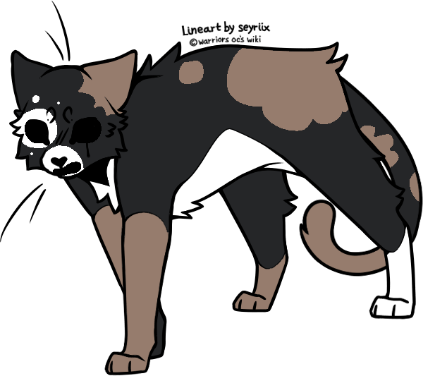 Tortoiseshine | Warriors OC's Wiki | Fandom