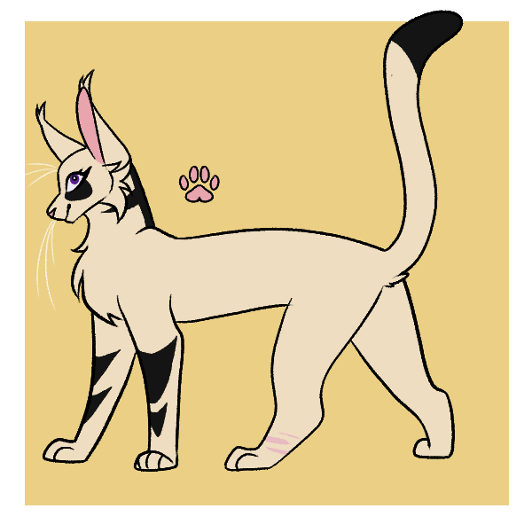 Ferretskip | Warriors OC's Wiki | Fandom