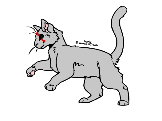 Greyshade | Warriors OC's Wiki | Fandom