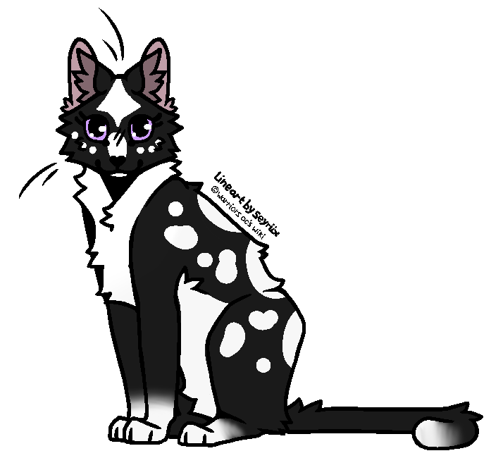 Irisstar | Warriors OC's Wiki | Fandom