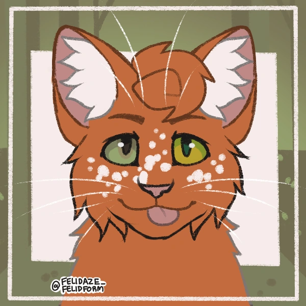 Fognose (FS) | Warriors OC's Wiki | Fandom