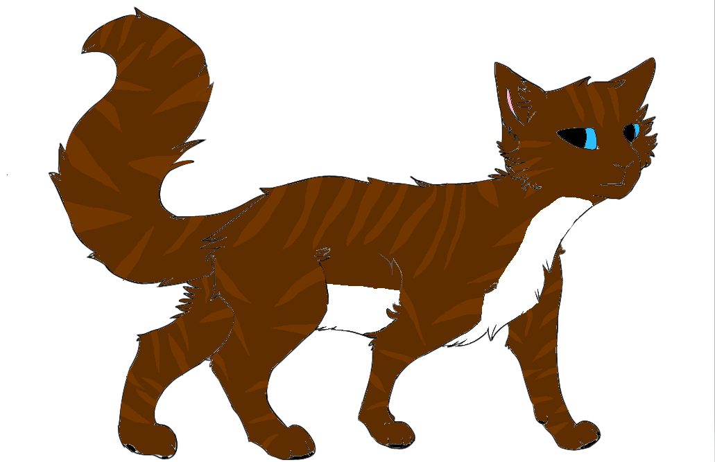 Duskfeather | Warriors OC's Wiki | Fandom