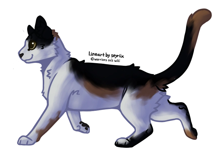 Splashpaw | Warriors OC's Wiki | Fandom