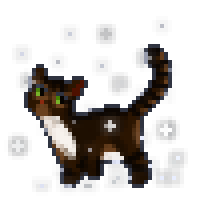 Bramblepaw | Warriors OC's Wiki | Fandom