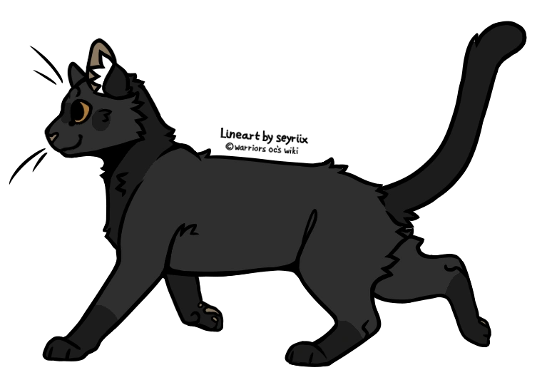 Rockpaw | Warriors OC's Wiki | Fandom