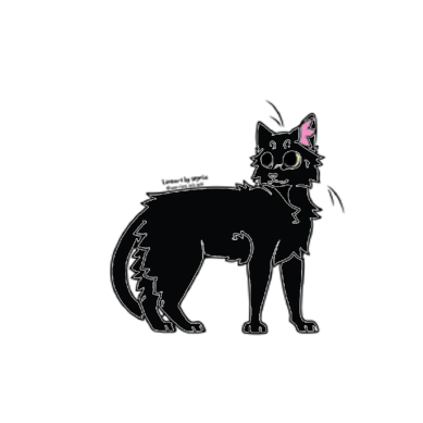 Nightwisp | Warriors OC's Wiki | Fandom