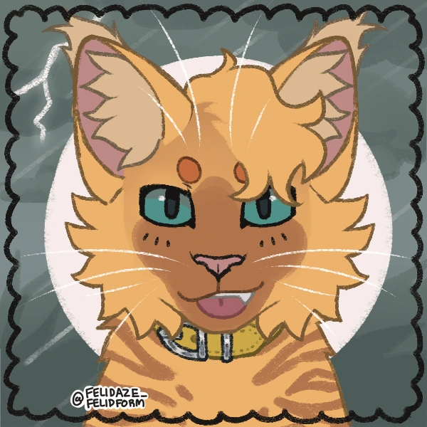 Sassy | Warriors OC's Wiki | Fandom