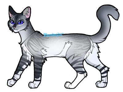 Squidheart (FS) | Warriors OC's Wiki | Fandom