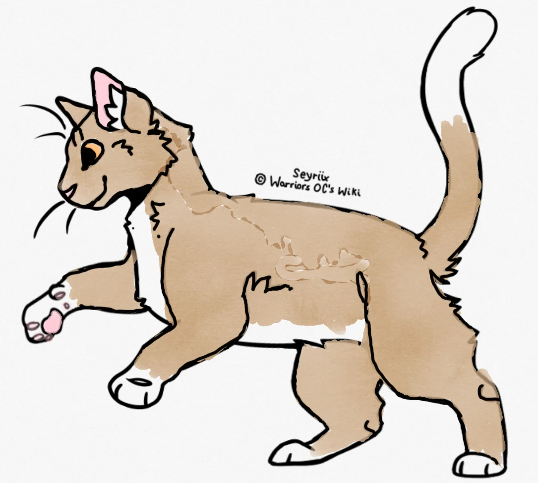 Fawnswipe | Warriors OC's Wiki | Fandom