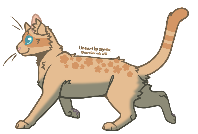 Dashpaw | Warriors OC's Wiki | Fandom