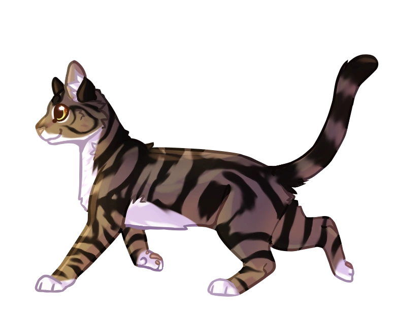 Fernpaw | Warriors OC's Wiki | Fandom