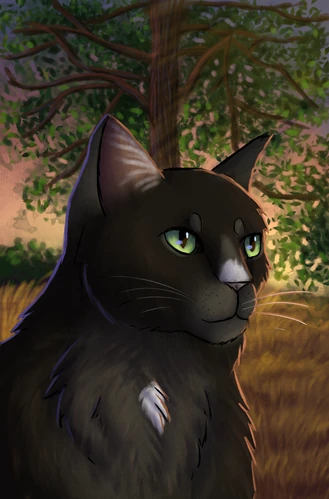 Nightwhisper (AsC) | Warriors OC's Wiki | Fandom