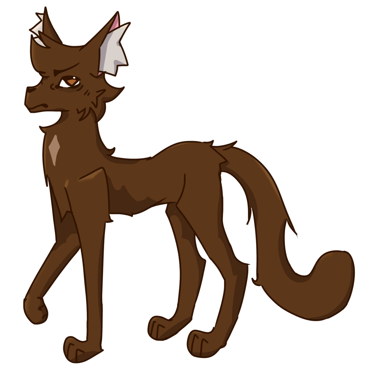 Pinefoot (TC) | Warriors OC's Wiki | Fandom