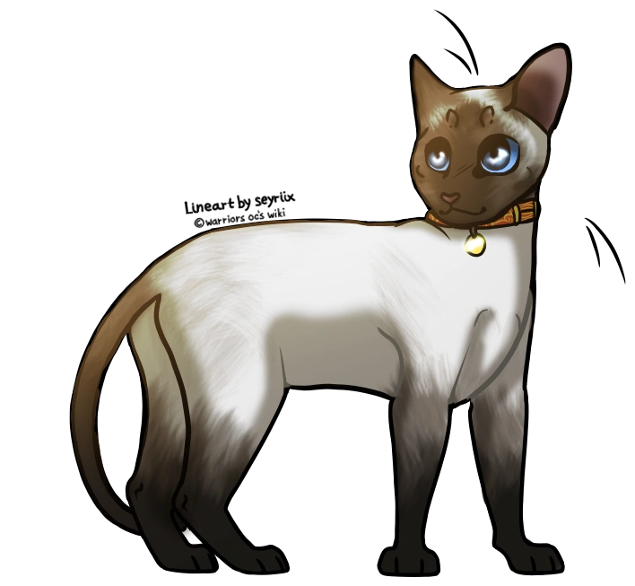 Sasha | Warriors OC's Wiki | Fandom