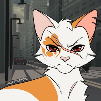 Amber (MHG22) | Warriors OC's Wiki | Fandom