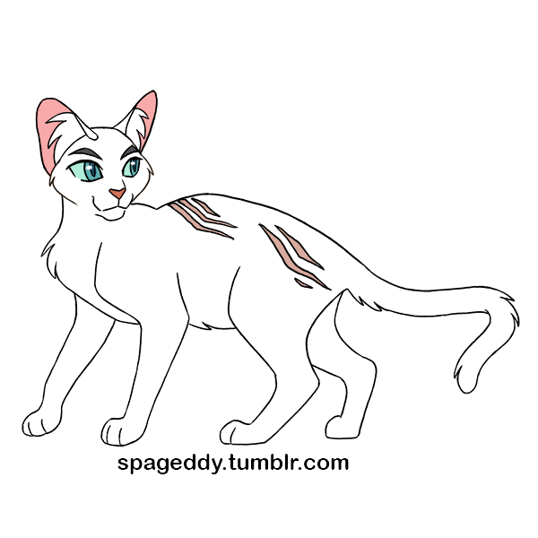 Falcon | Warriors OC's Wiki | Fandom