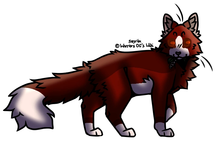 Cherryhawk (WC) | Warriors OC's Wiki | Fandom