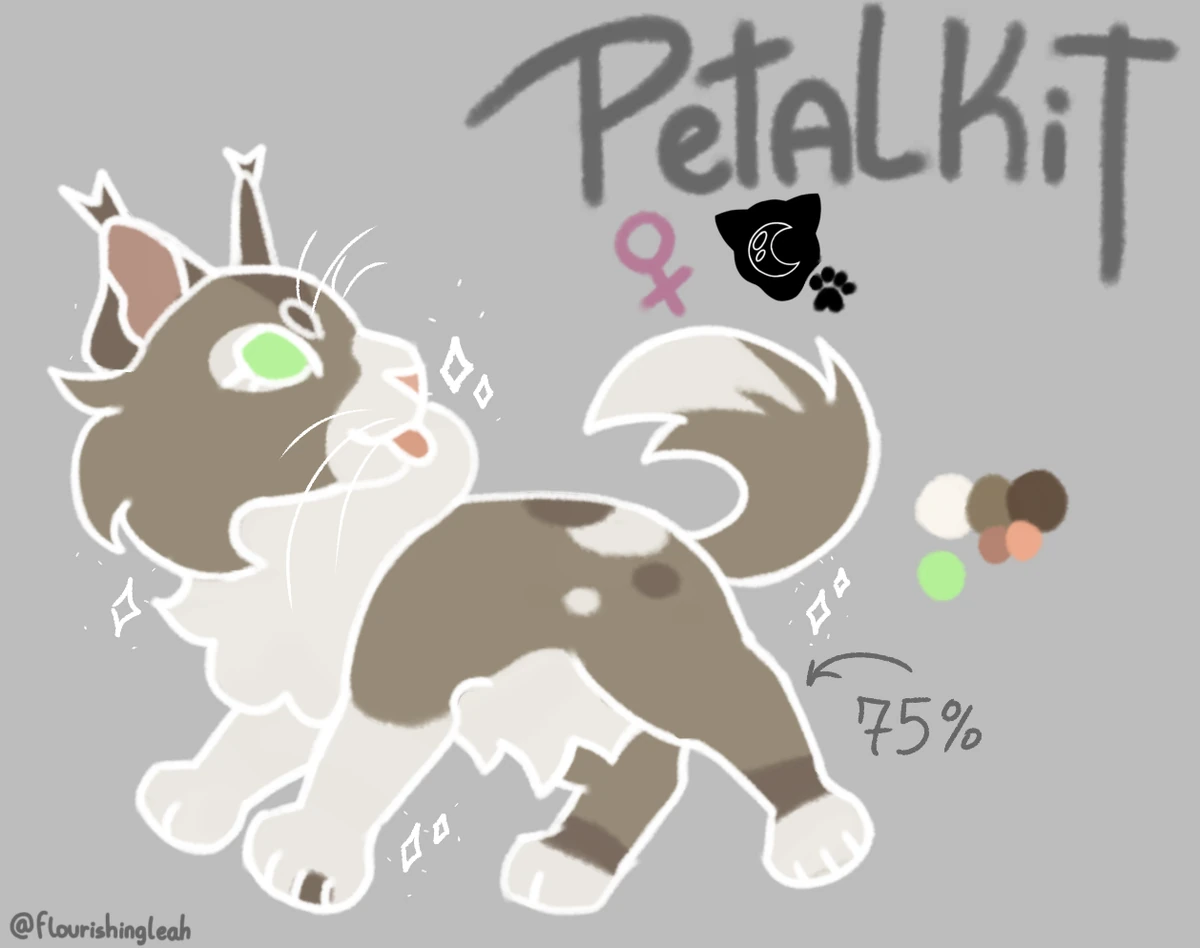 Petalkit (TLbtS) | Warriors OC's Wiki | Fandom