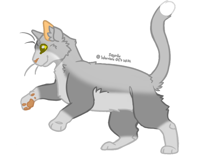 Ragingstorm (LoS) | Warriors OC's Wiki | Fandom