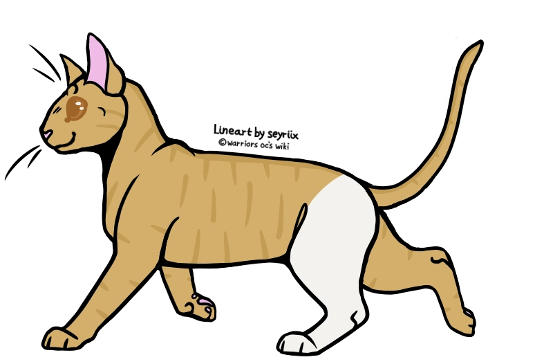 Rowanpaw (ShC) | Warriors OC's Wiki | Fandom