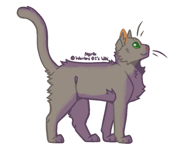 Siltstone | Warriors OC's Wiki | Fandom