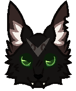 Batstar | Warriors OC's Wiki | Fandom